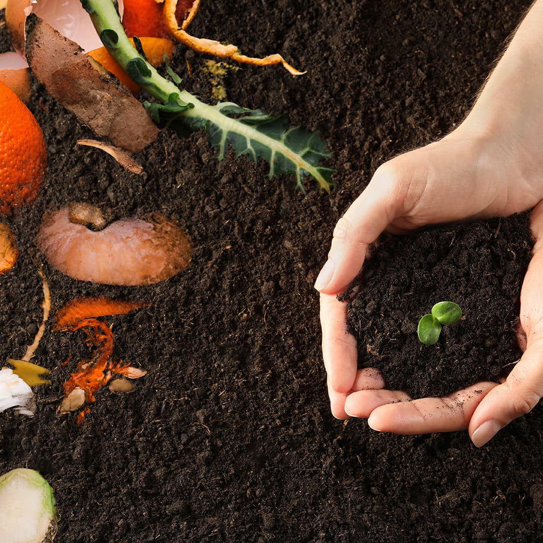 Kompostera utomhus | Lantbutiken